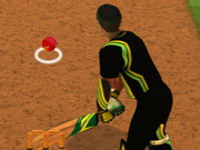 Cricket Batter Challenge - GameSkill