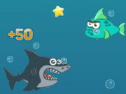 Mad Shark - GameSkill