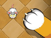 Tap The Rat - GameSkill