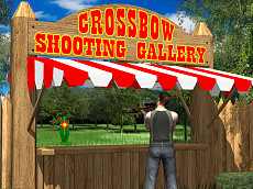 Crossbow Shooting Gallery - GameSkill